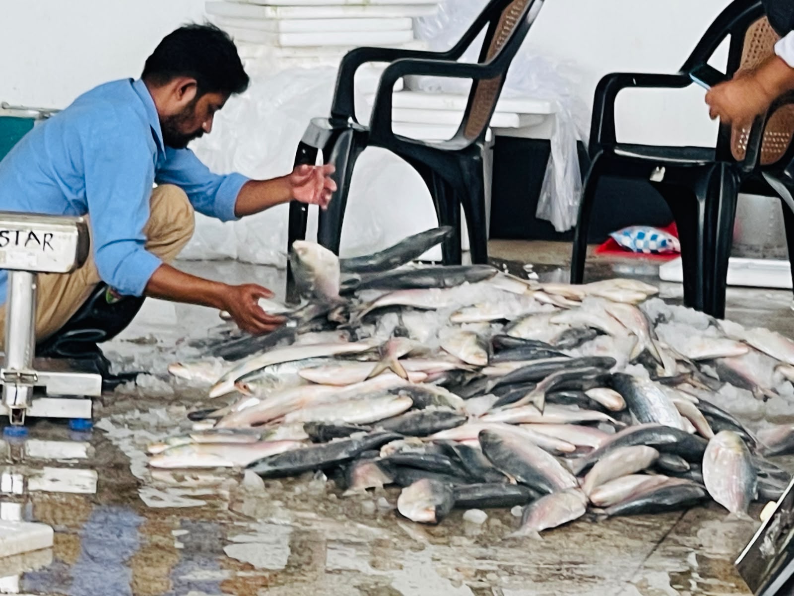 Hilsa Returns to Cox’s Bazar Fish Landing Centre as Traders Resume ...